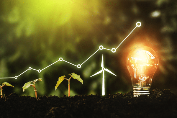NSW launches Consumer Energy Strategy - Energy Today
